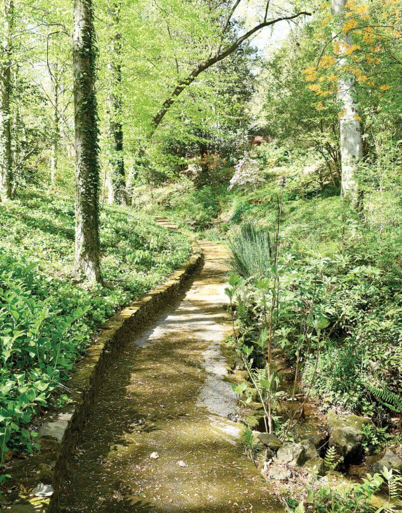 Respect the Land: Local Gardener Cultivates Love of Natural Space ...