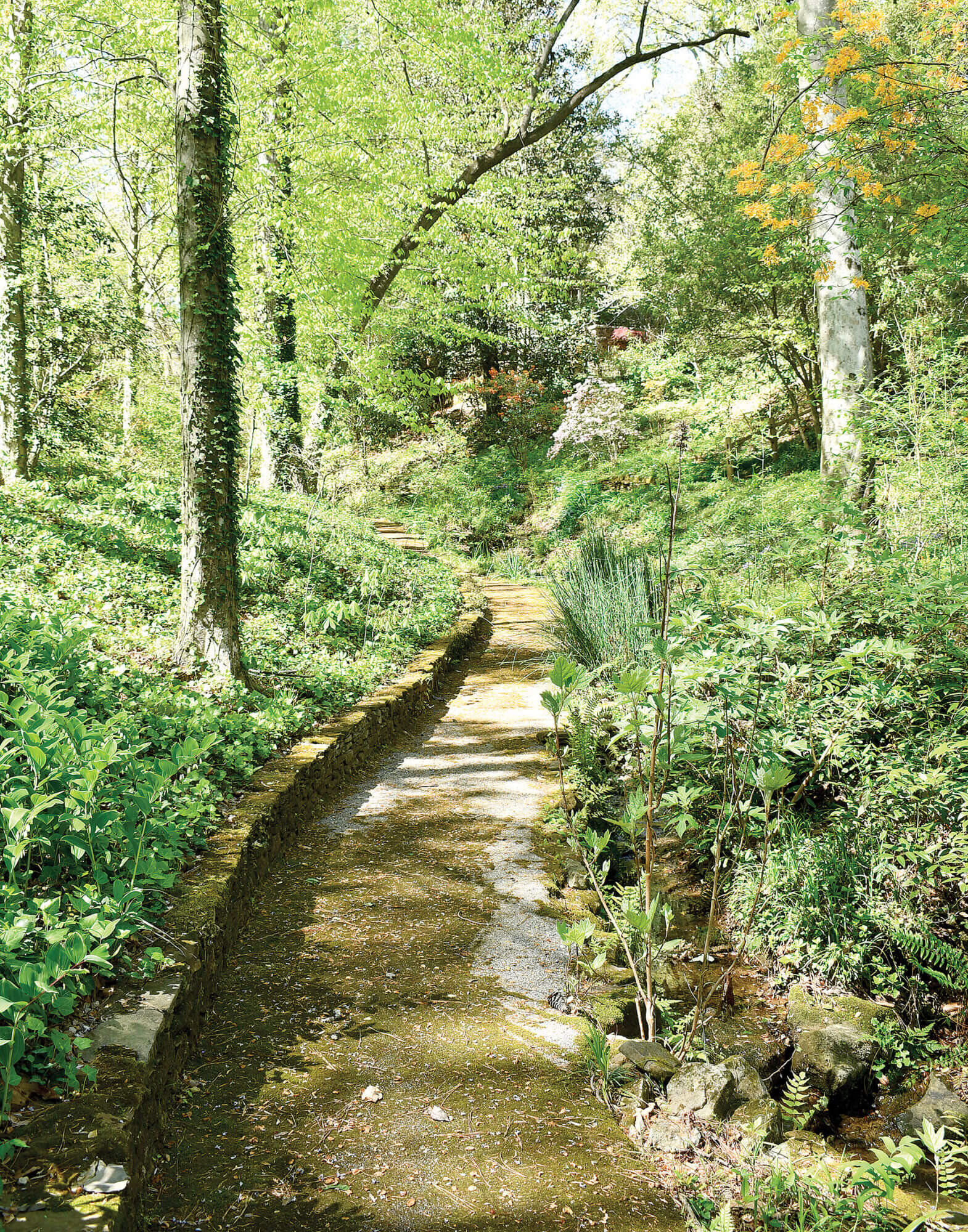 Respect the Land: Local Gardener Cultivates Love of Natural Space ...
